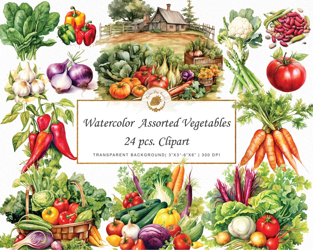 Watercolor Vegetable Clipart Assorted Vegetable Clipart Farm Clipart ...