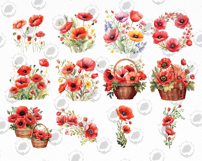 Watercolor Poppy Clipart Poppies Clipart PNG SVG Floral Watercolor ...