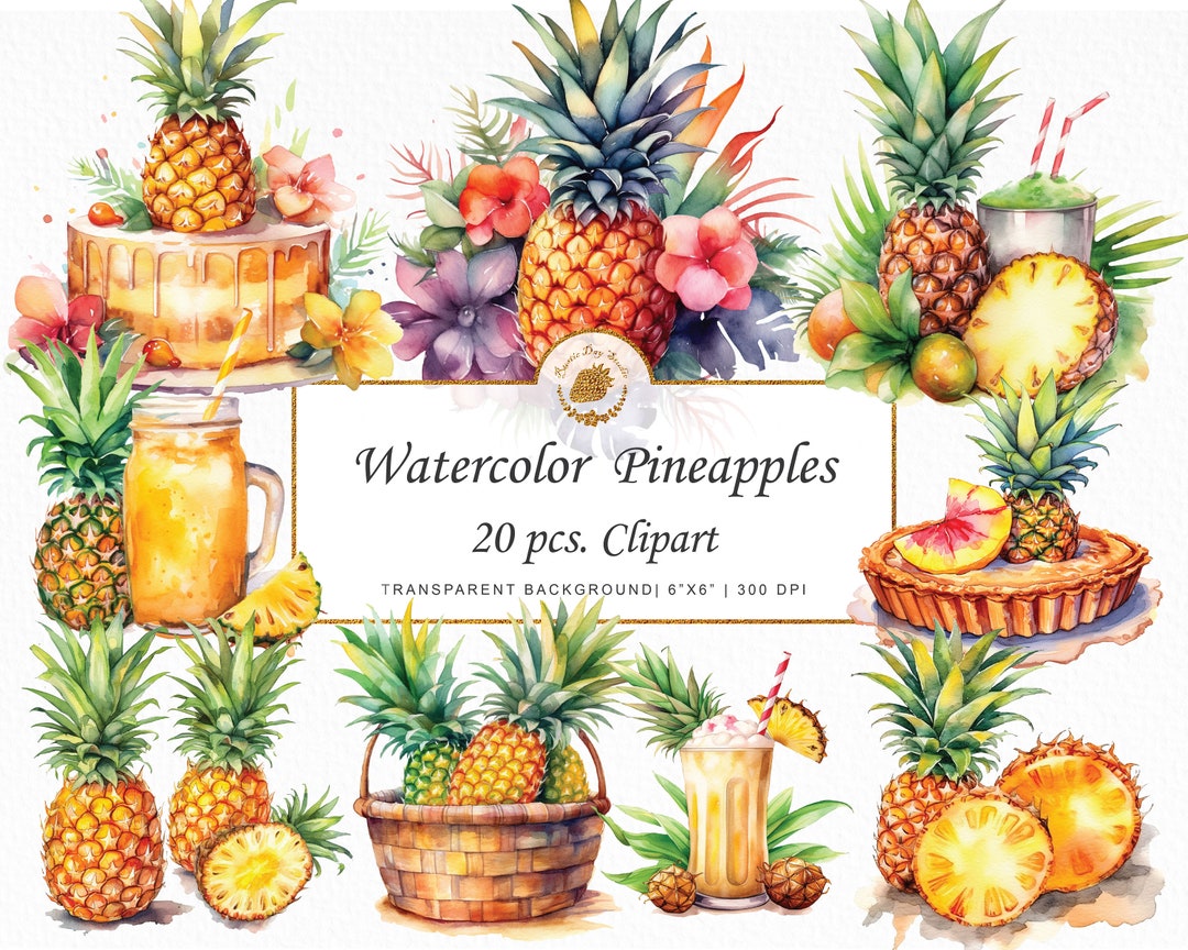Watercolor Pineapple Clipart Tropical Clipart Piñacolada Clipart ...
