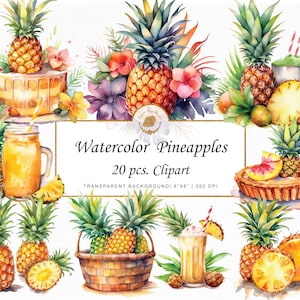 Watercolor Pineapple Clipart Tropical Clipart Piñacolada Clipart ...