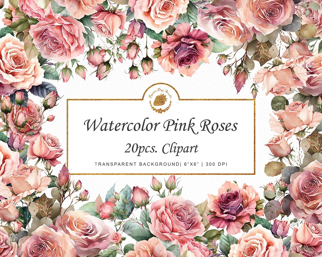 Watercolor Blushing Roses Watercolor Pink Roses Clipart Bundle Romantic ...