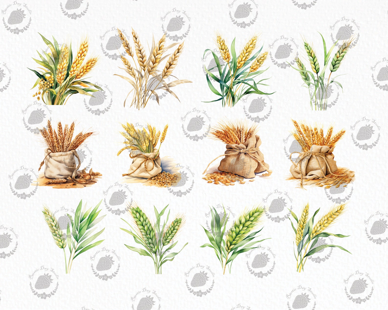 Watercolor Barley Clipart Farm Art Bundle Spring Garden Graphics ...