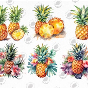 Watercolor Pineapple Clipart Tropical Clipart Piñacolada Clipart ...