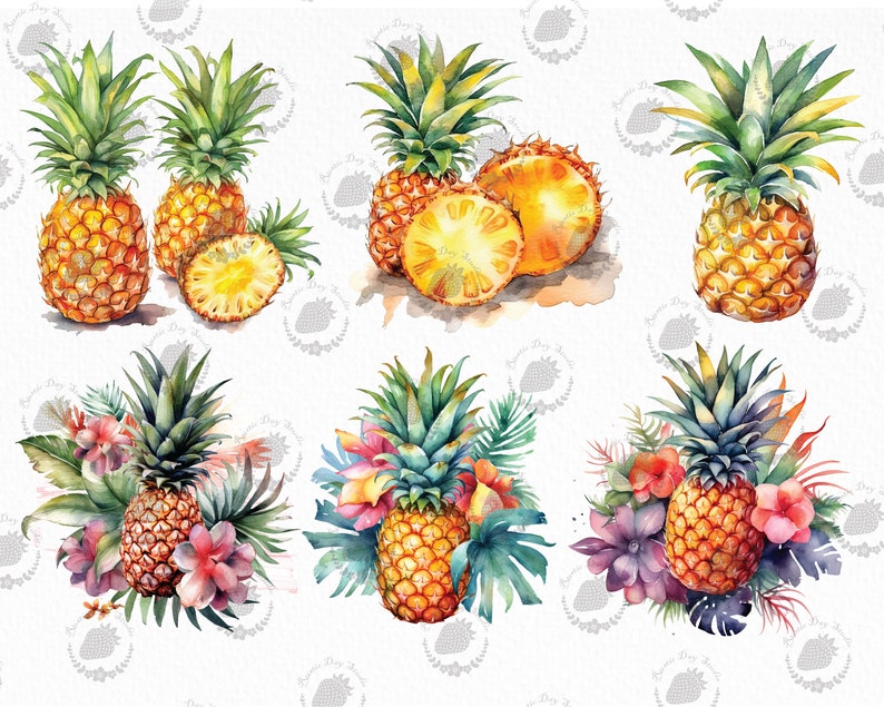 Watercolor Pineapple Clipart Tropical Clipart Piñacolada Clipart ...