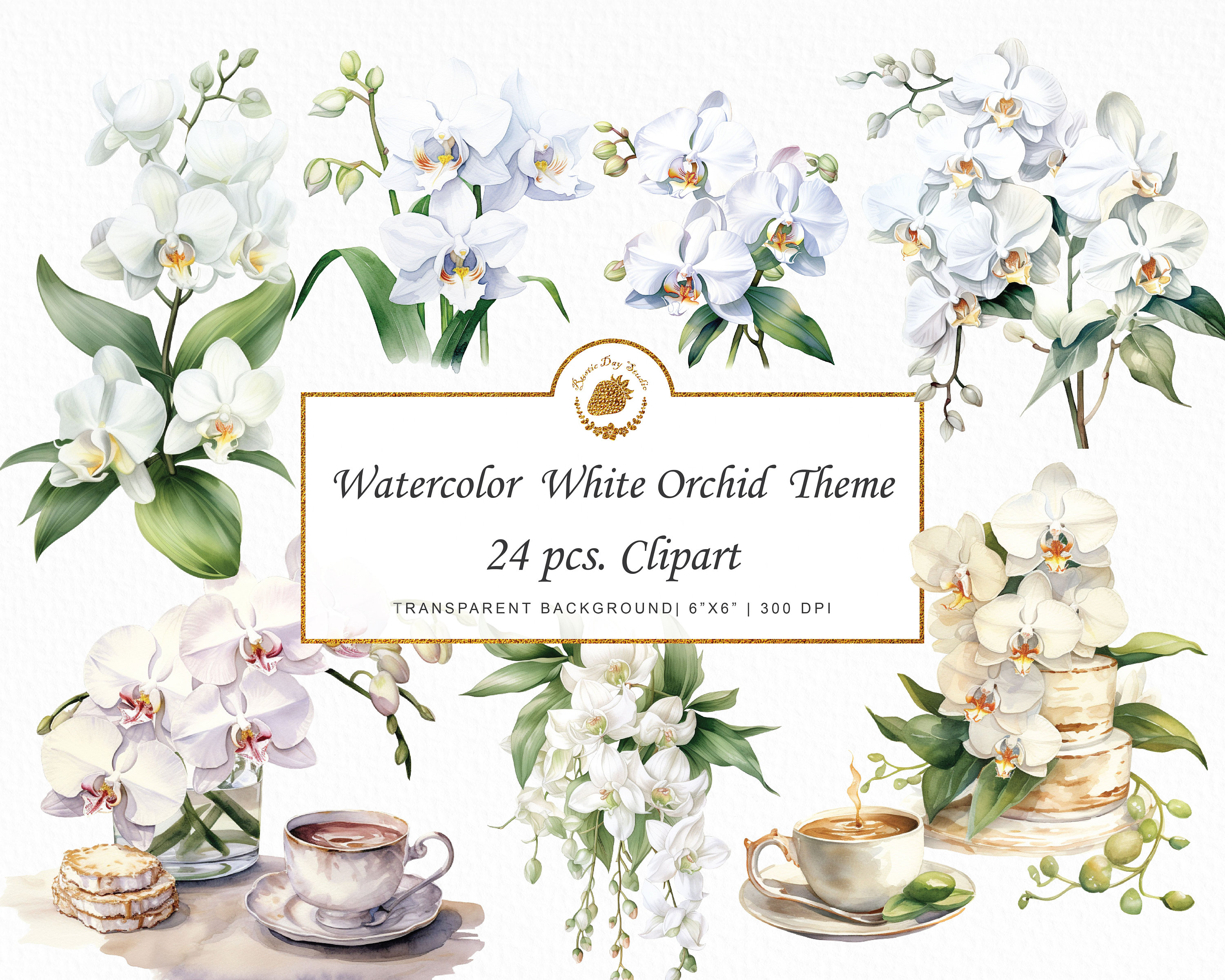 Watercolor White Orchid Clipart Elegant Orchid Clipart Bundle ikebana ...