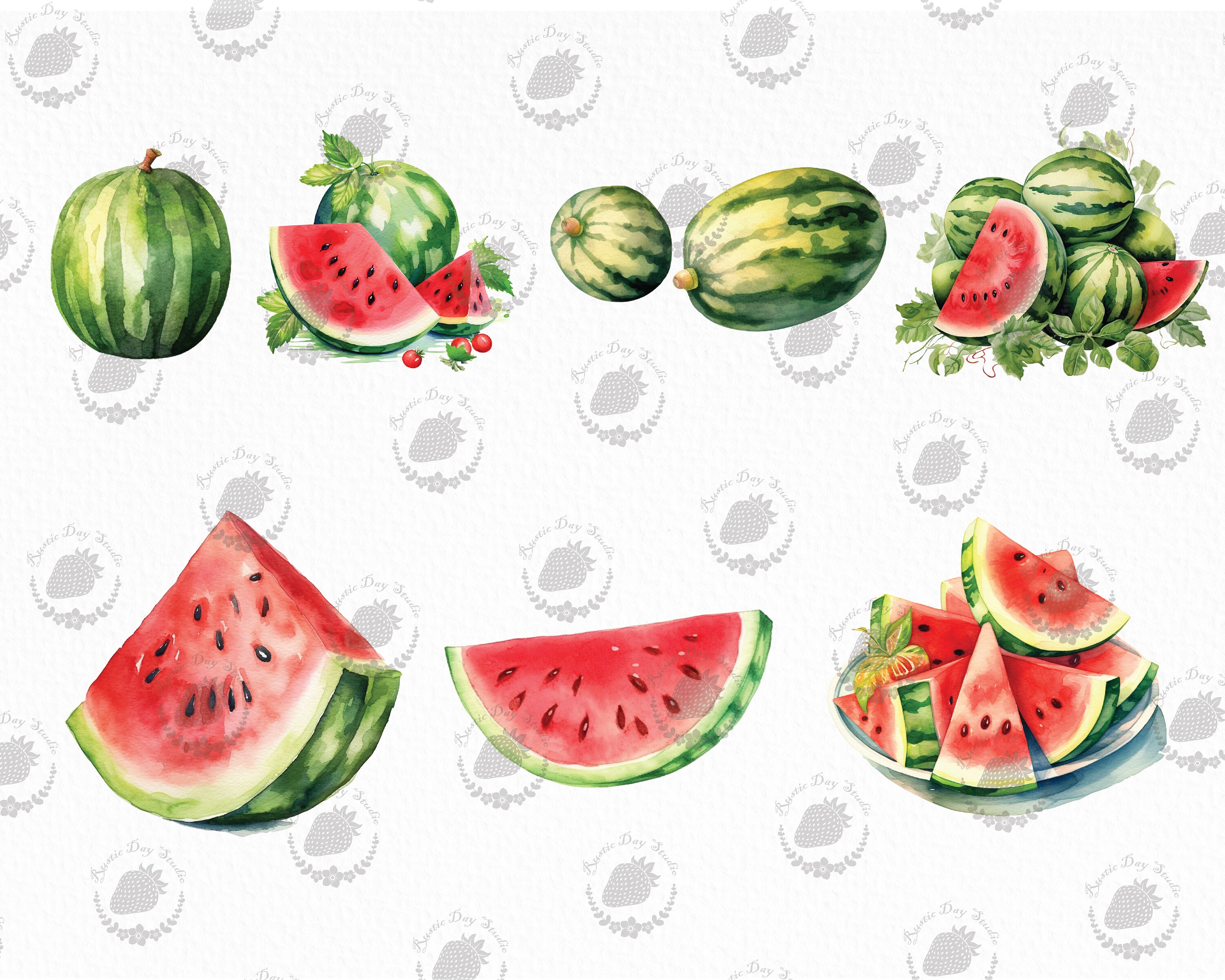 Watercolor Watermelon Clipart Summer Watercolor PNG Watermelon Patch ...