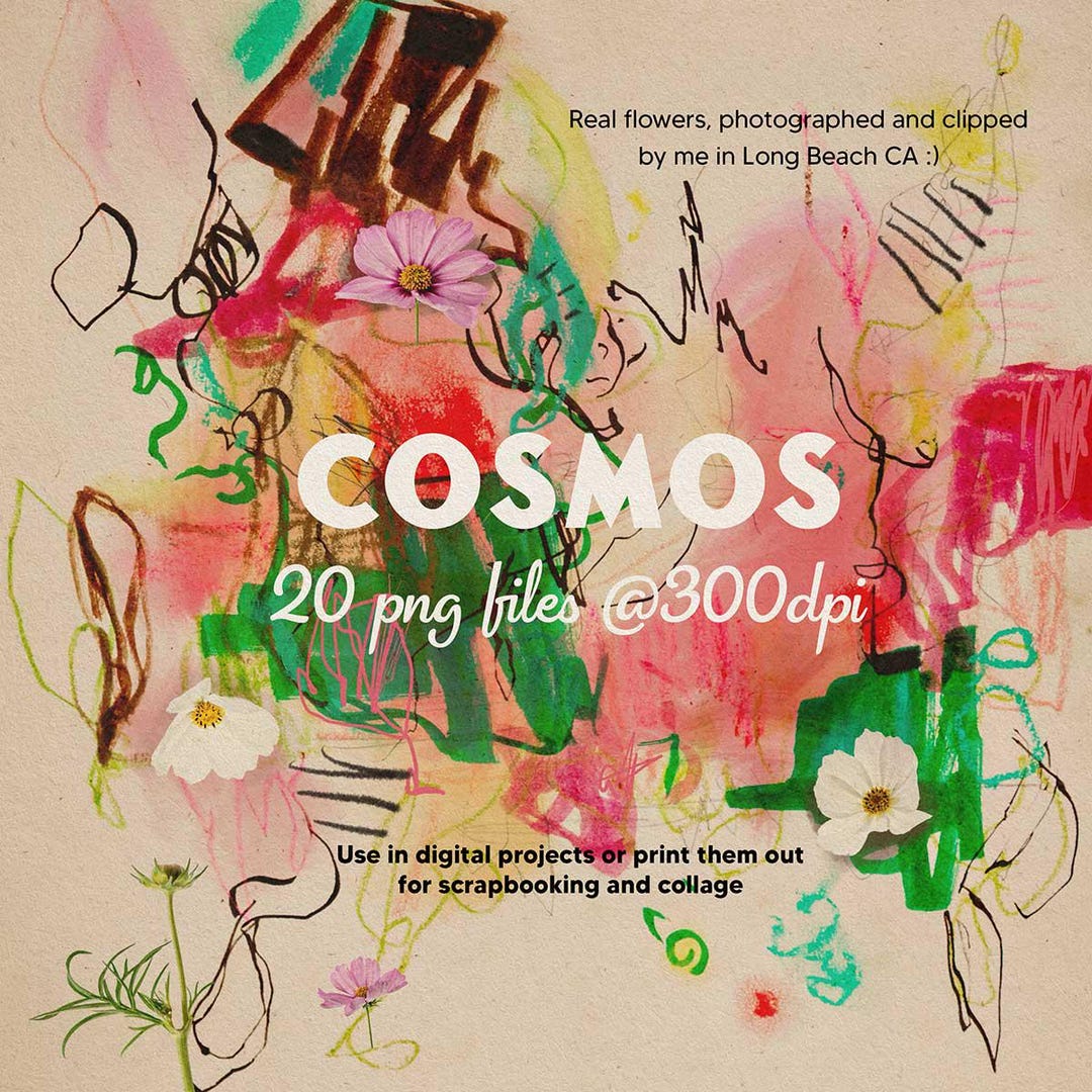 High-resolution Cosmos Flower PNG Clipart: 20 Transparent Images for ...