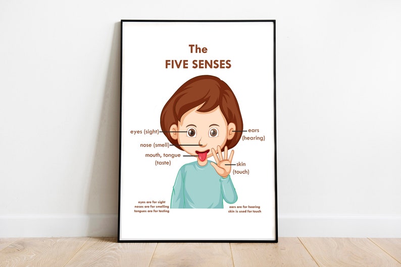 FIVE SENSES Printable Poster Educational Wall Art Hearing - Etsy