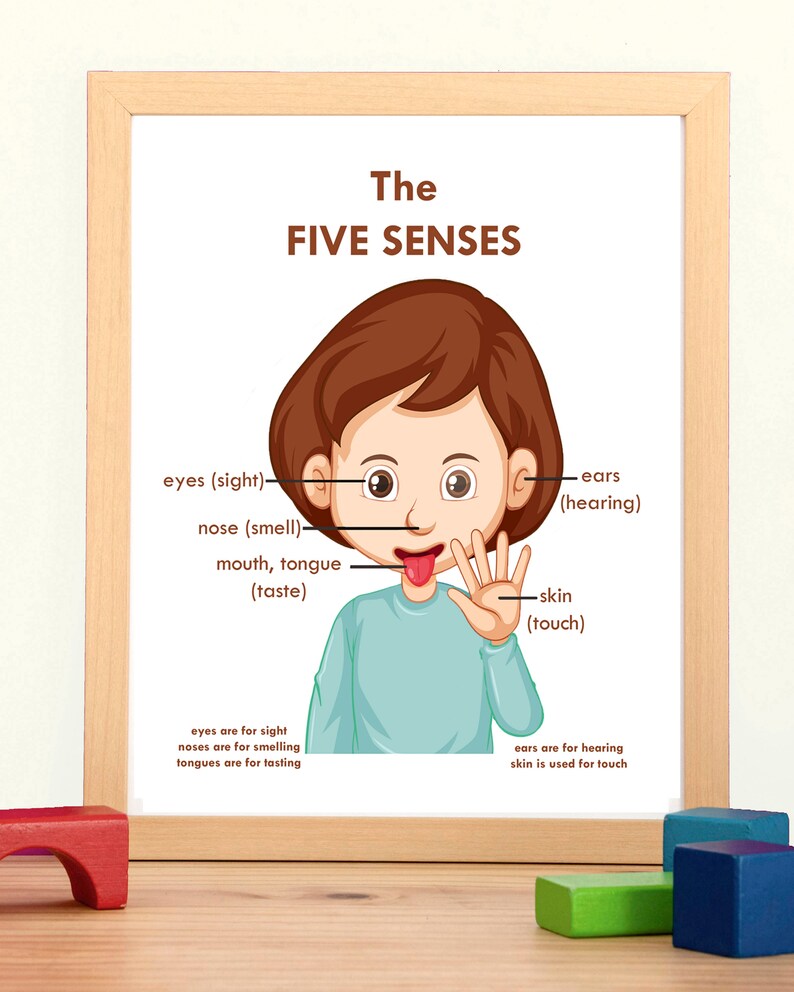 FIVE SENSES Printable Poster Educational Wall Art Hearing - Etsy