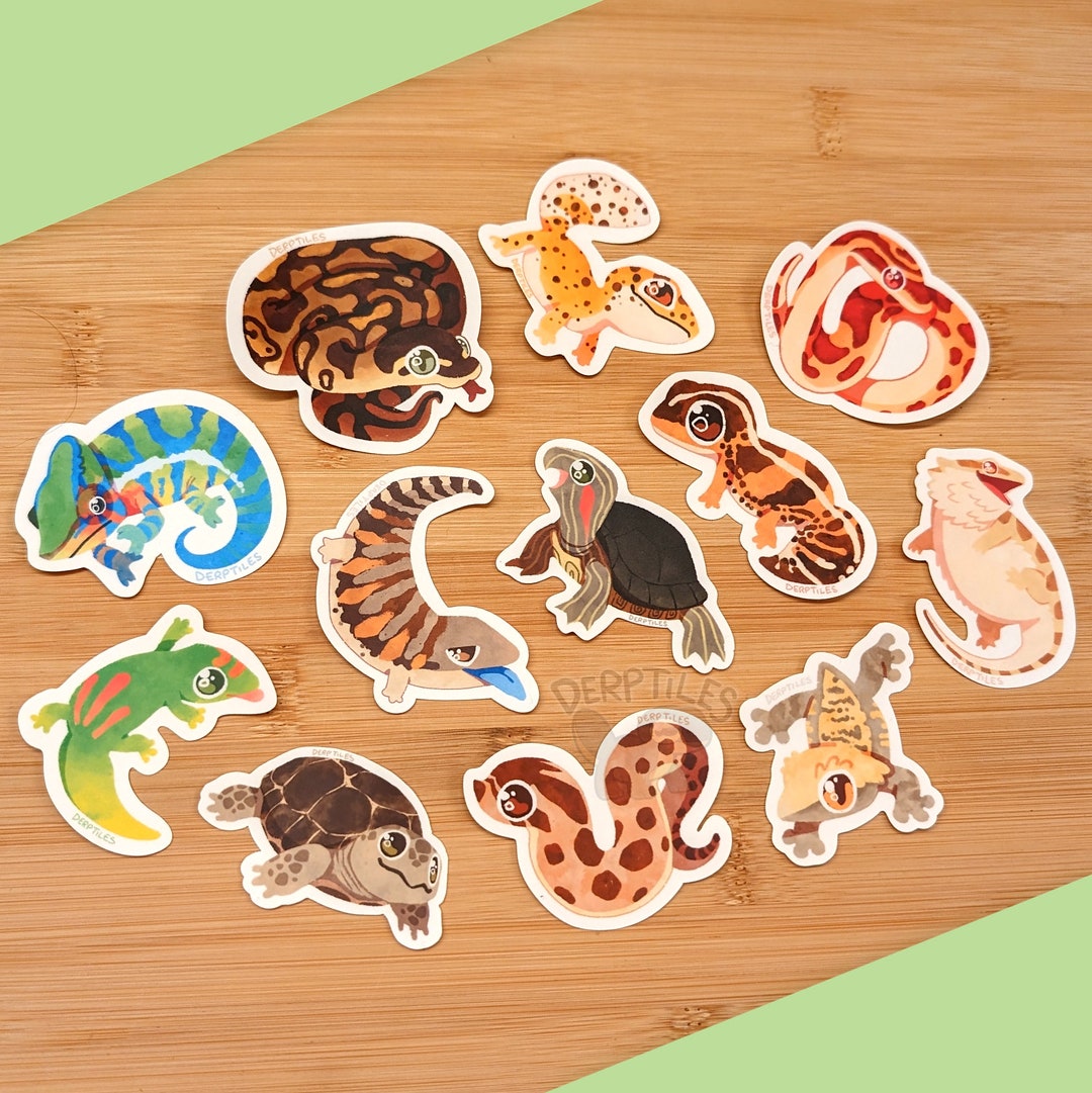Pet Reptile Stickers (full Set of 12 Vinyl Stickers) for Laptops, Water ...