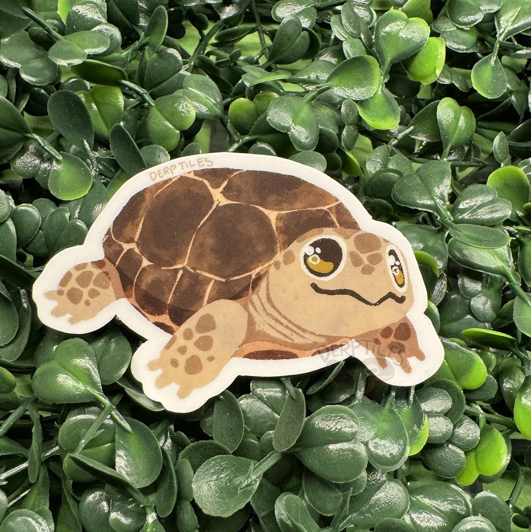 Tortoise Vinyl Sticker for Laptops, Water Bottles, Notebooks - Etsy