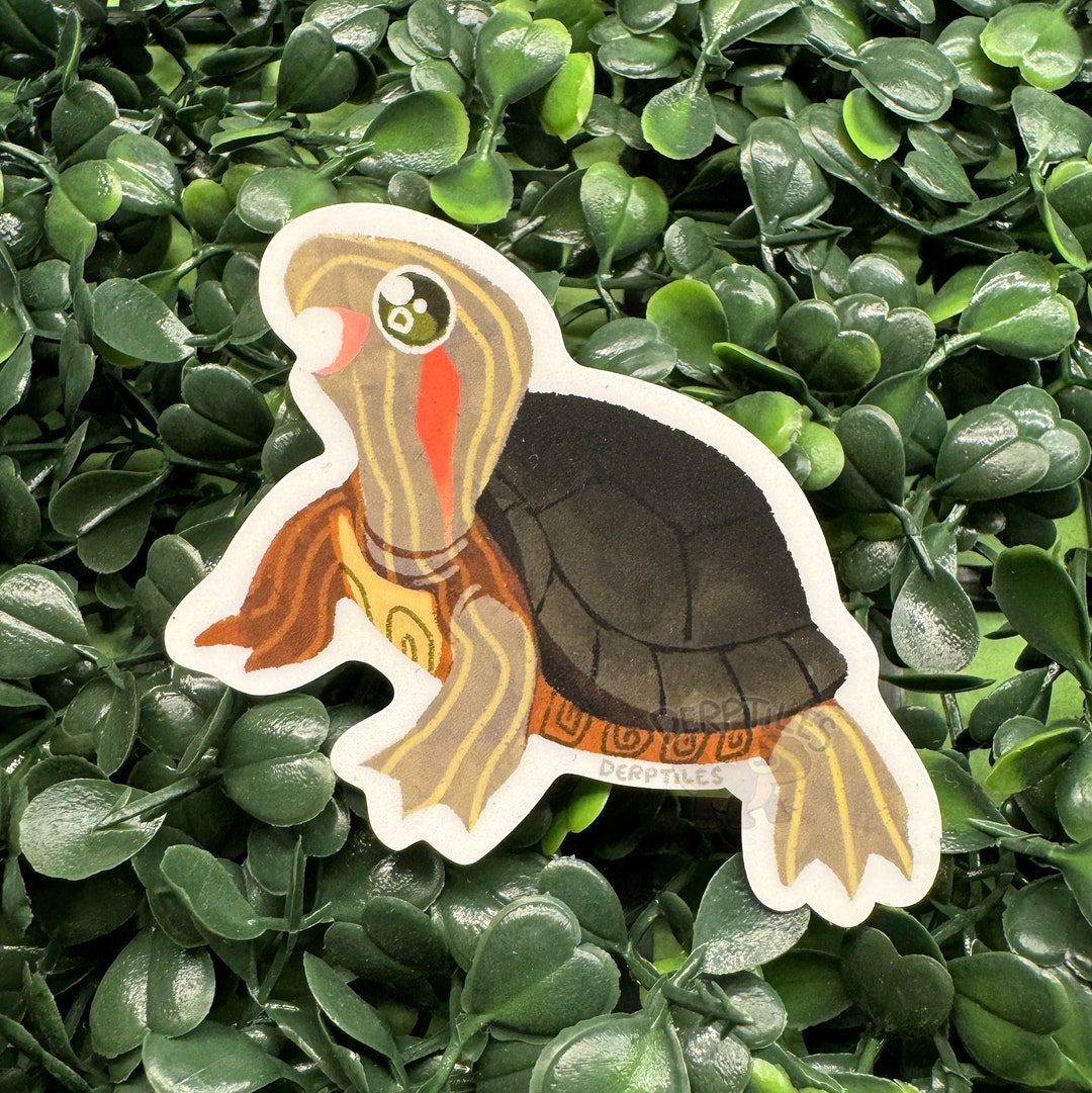 Red-eared Slider Turtle Sticker for Laptops, Water Bottles, Notebooks ...
