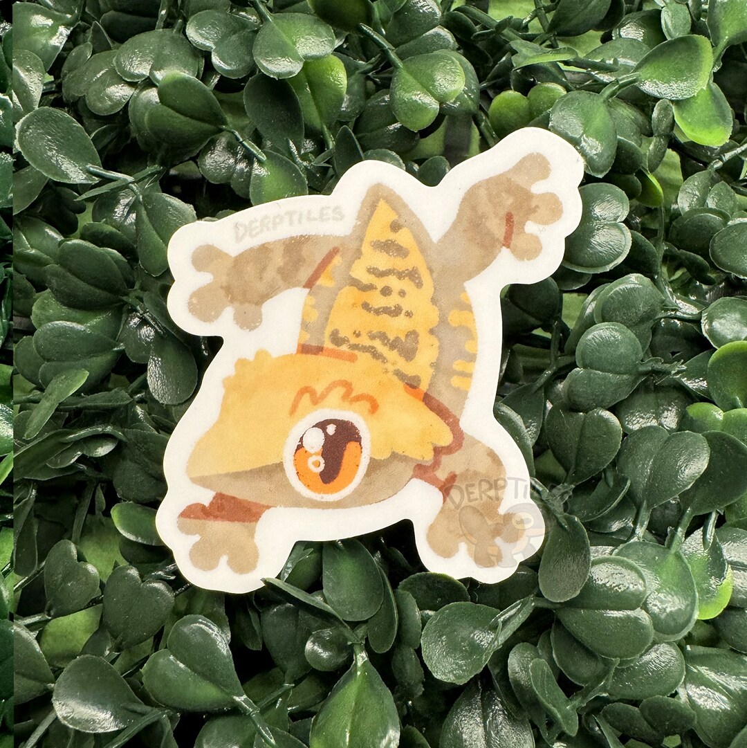 Crested Gecko (crestie) Vinyl Sticker for Laptops, Water Bottles ...