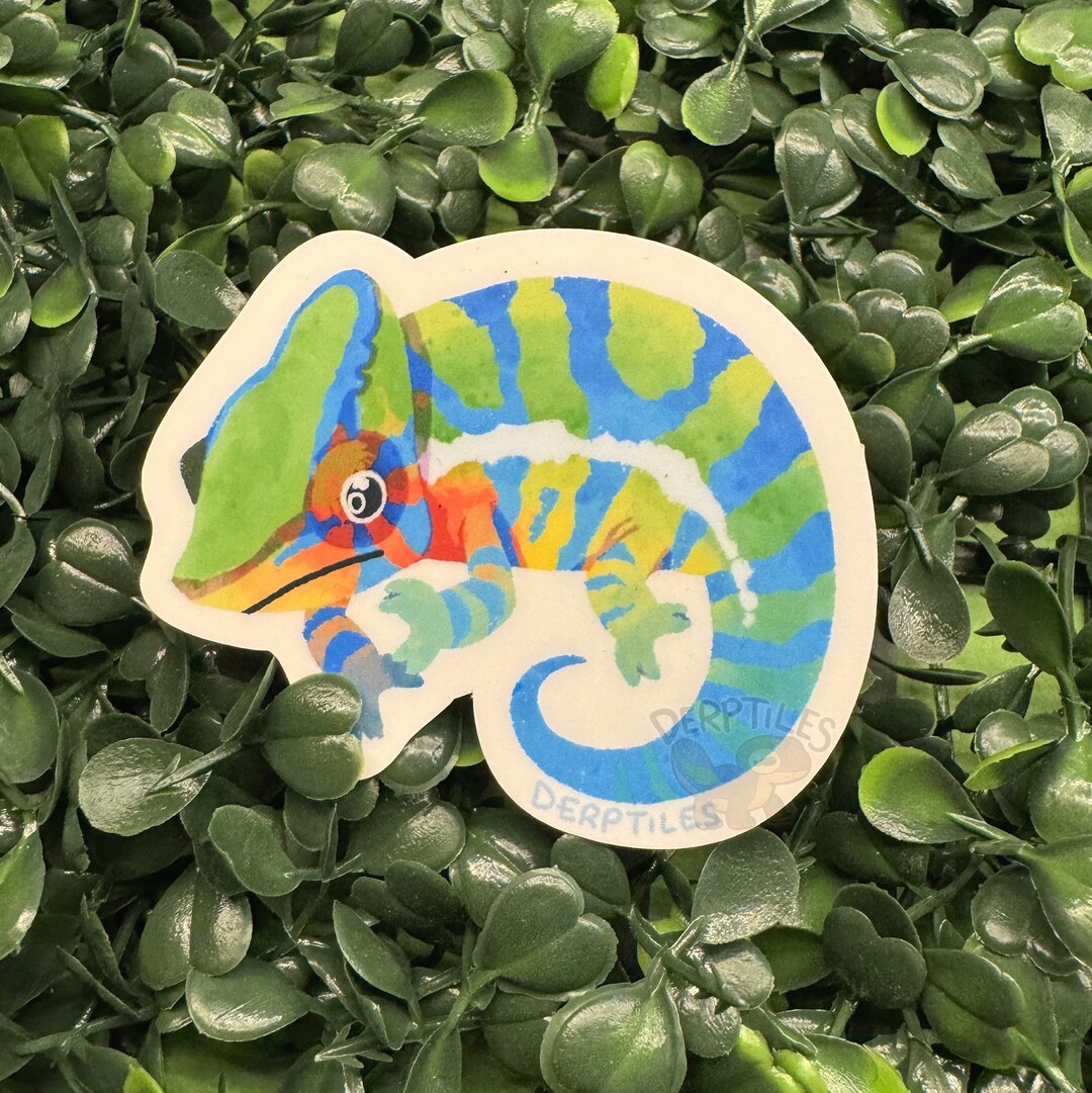Chameleon Vinyl Sticker for Laptops, Water Bottles, Notebooks - Etsy