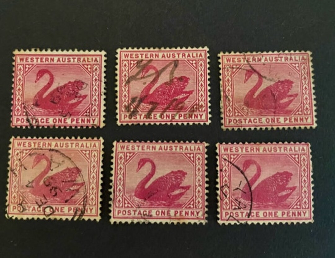 Western Australia 1902 1d Red Swan Set Postage Stamps - Etsy