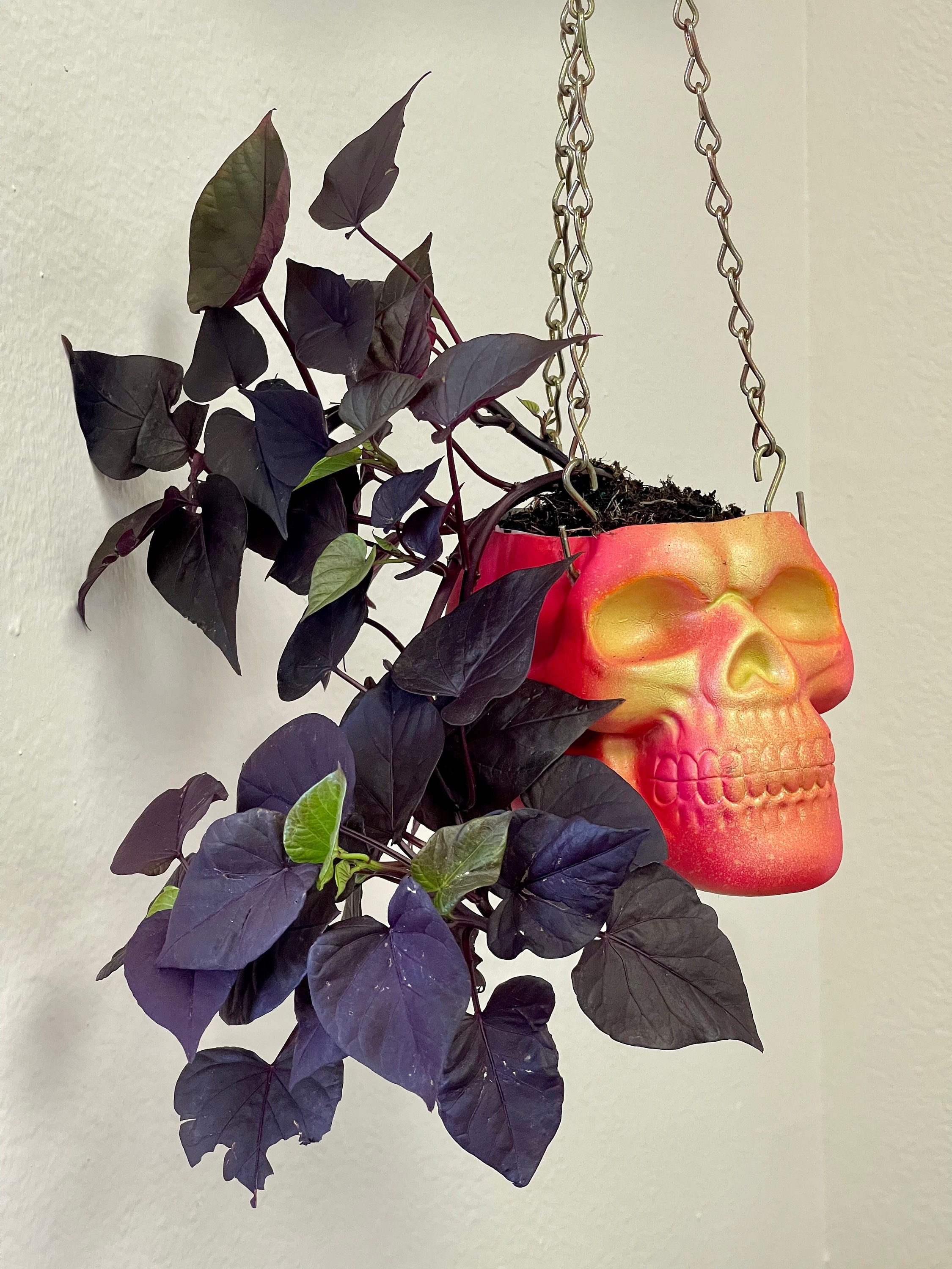 Aura Skull Planter - Etsy