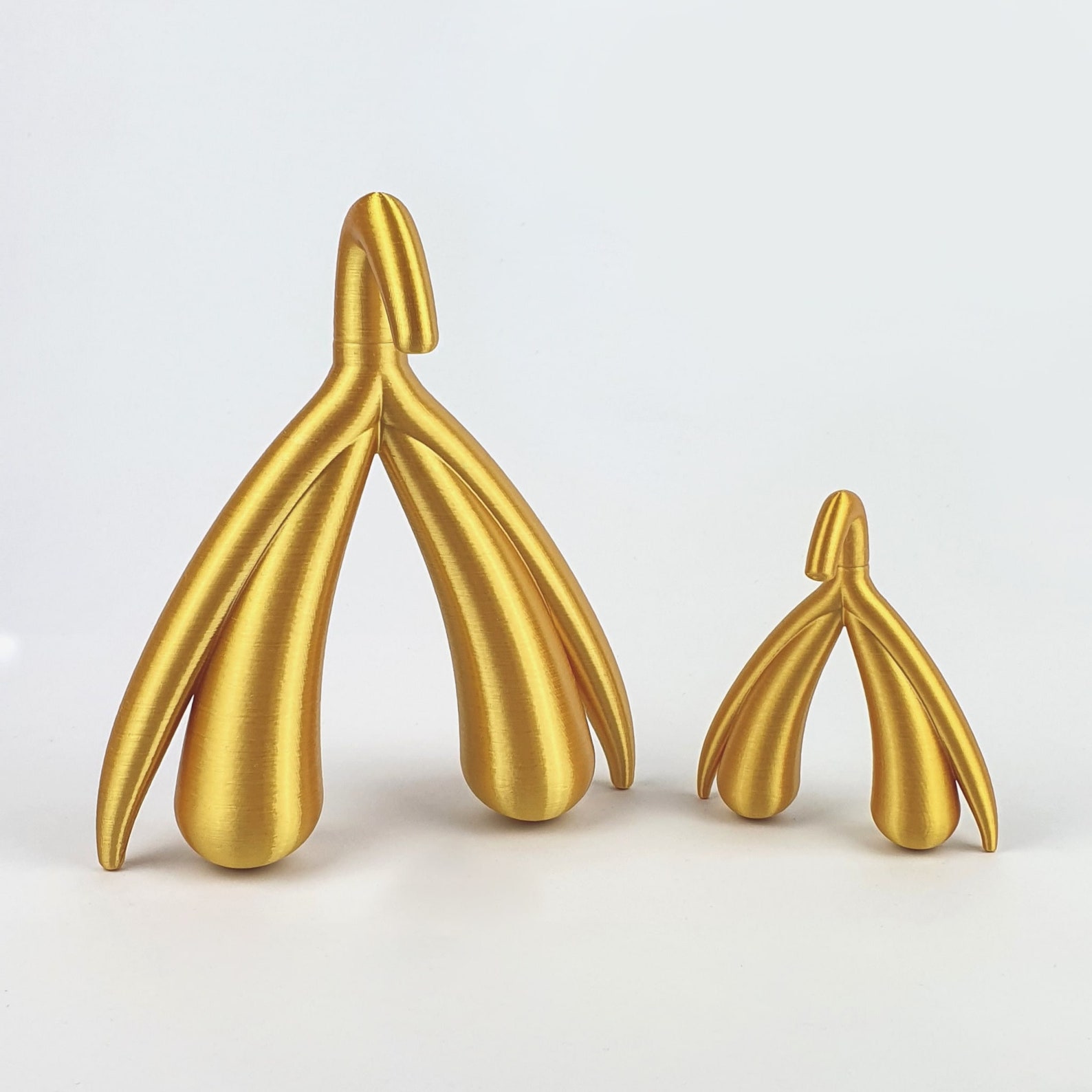 3D Clitoris Model: Supersize, Quality, Anatomically Correct ...