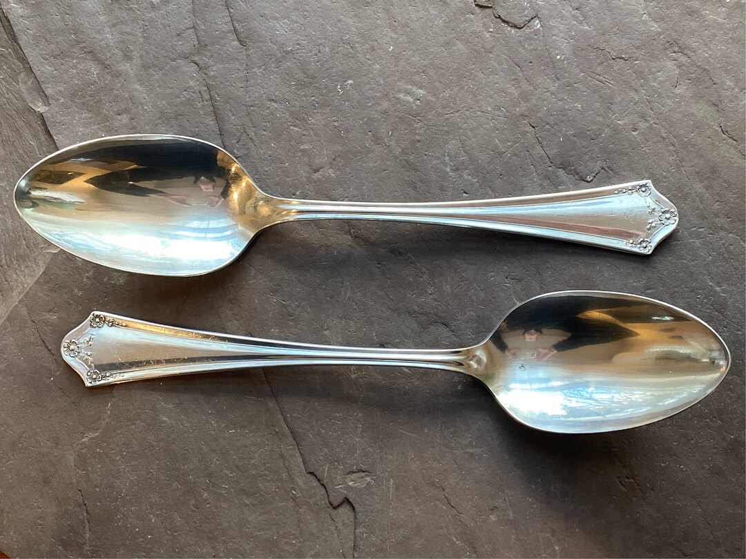 Oneida Community Par Plate PRIMROSE 1915 Large Serving Spoons Silver ...
