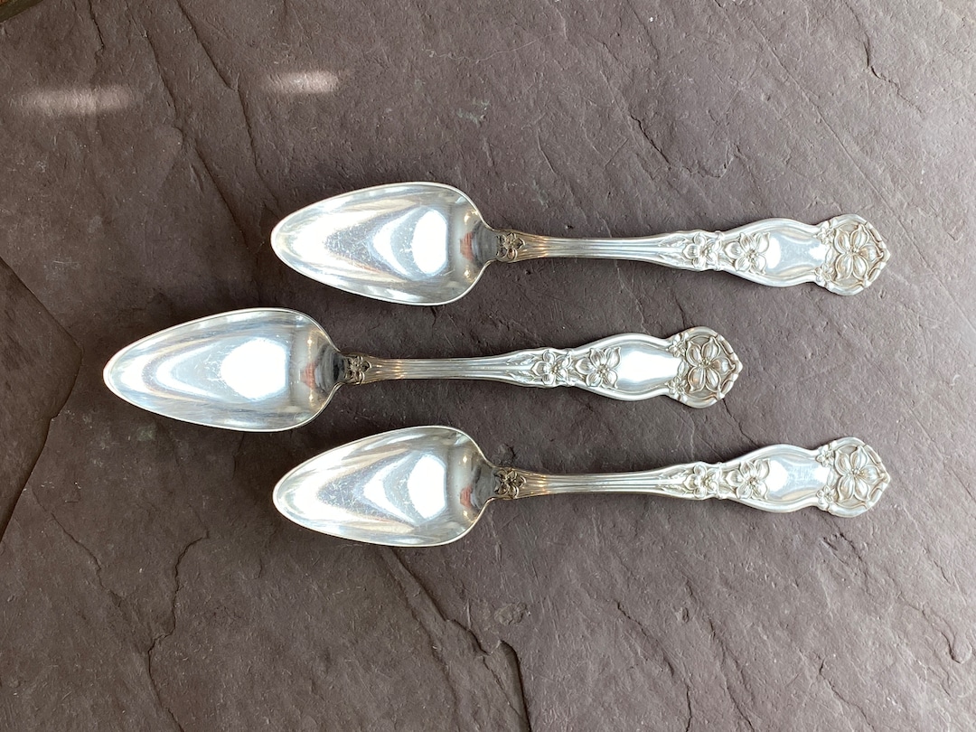 Wm Rogers and Son AA ORANGE BLOSSOM 1910 Antique Silverplate Set of 3 ...