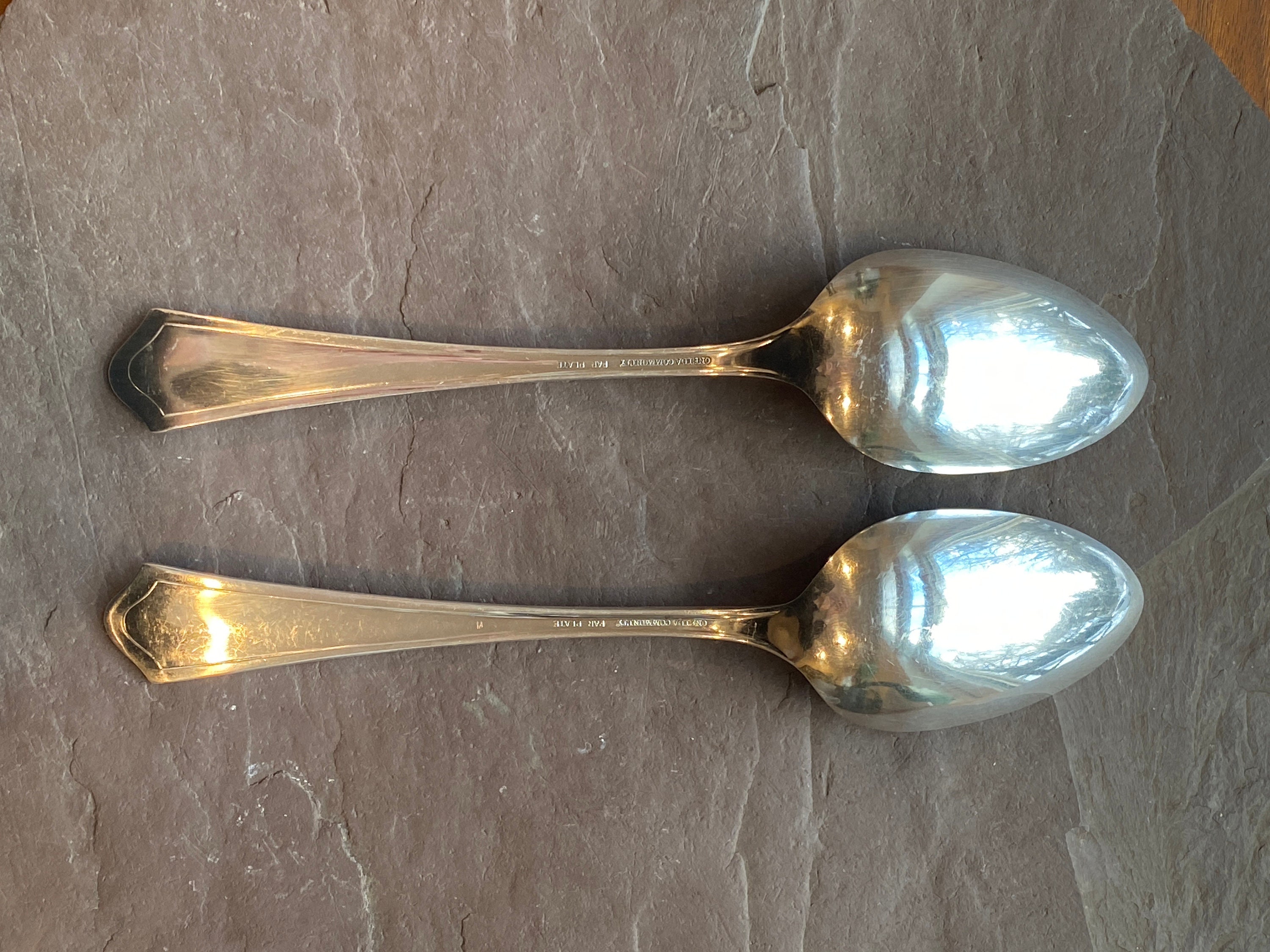 Oneida Community Par Plate PRIMROSE 1915 Antique Silver Plate Set of 2 ...