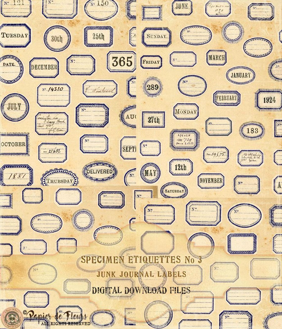 Specimen Etiquettes, Vintage Specimen Labels, Blue Signs No 3, Junk ...