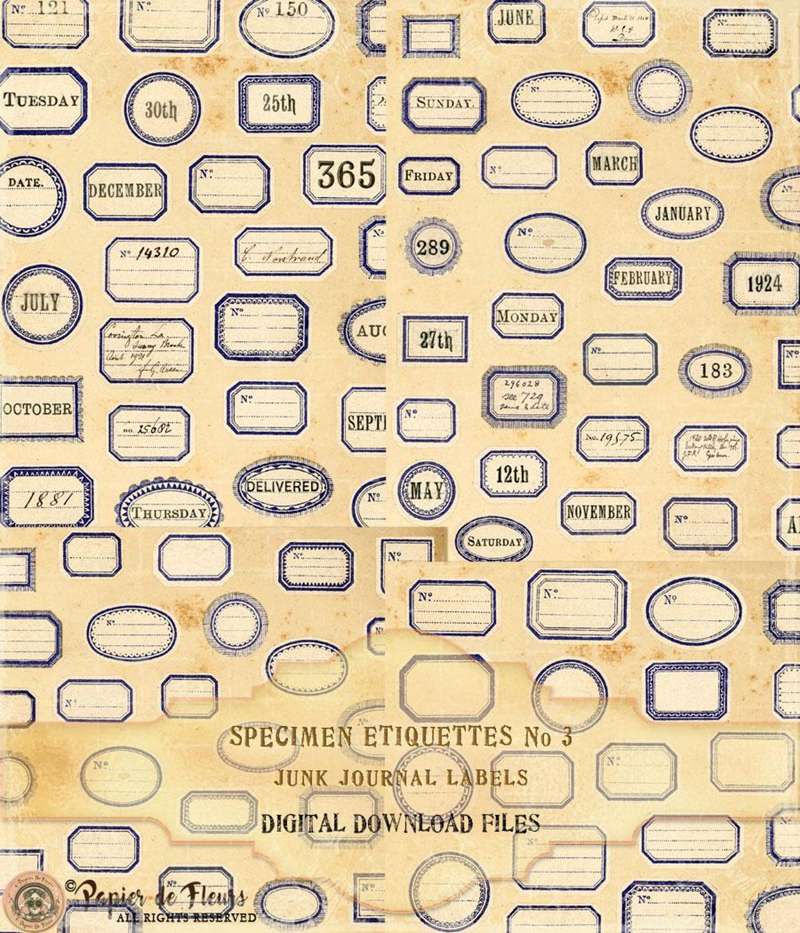 Specimen Etiquettes, Vintage Specimen Labels, Blue Signs No 3, Junk ...