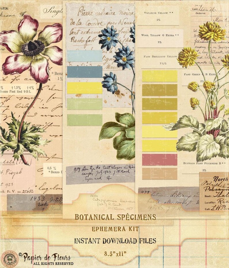Botanical Ephemera Kit, Vintage Floral Specimens, Antique Labels ...