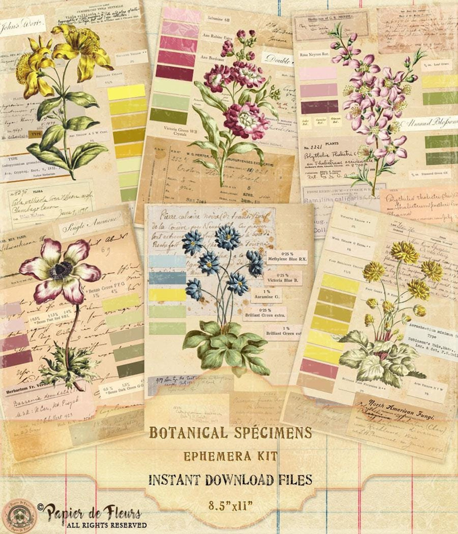 Botanical Ephemera Kit, Vintage Floral Specimens, Antique Labels ...