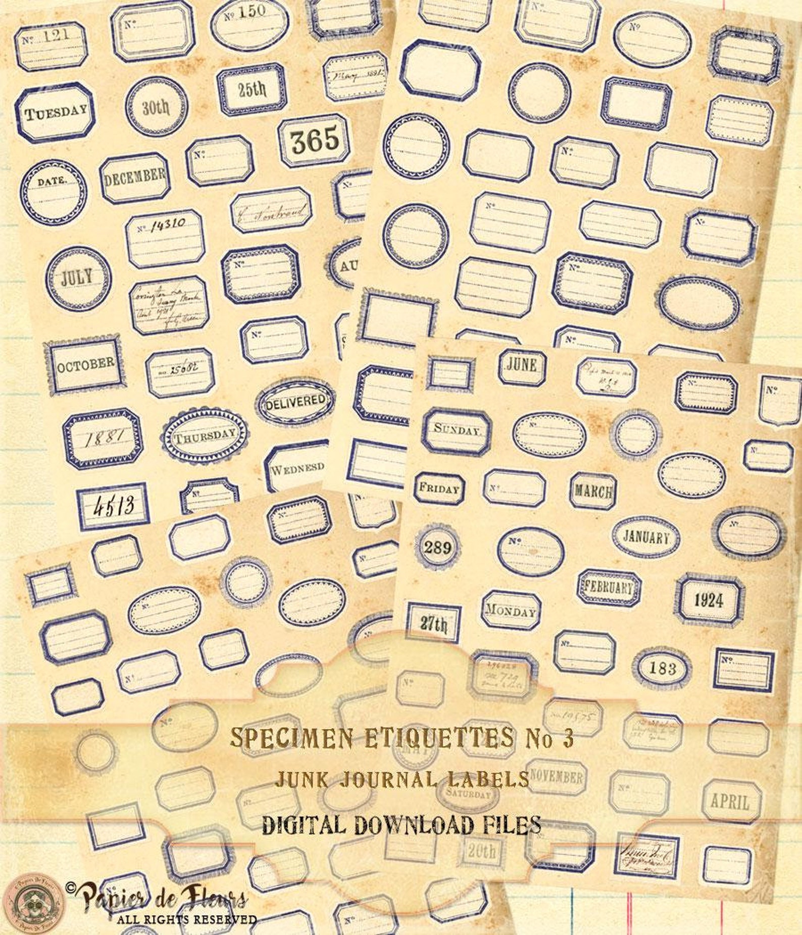 Specimen Etiquettes, Vintage Specimen Labels, Blue Signs No 3, Junk ...