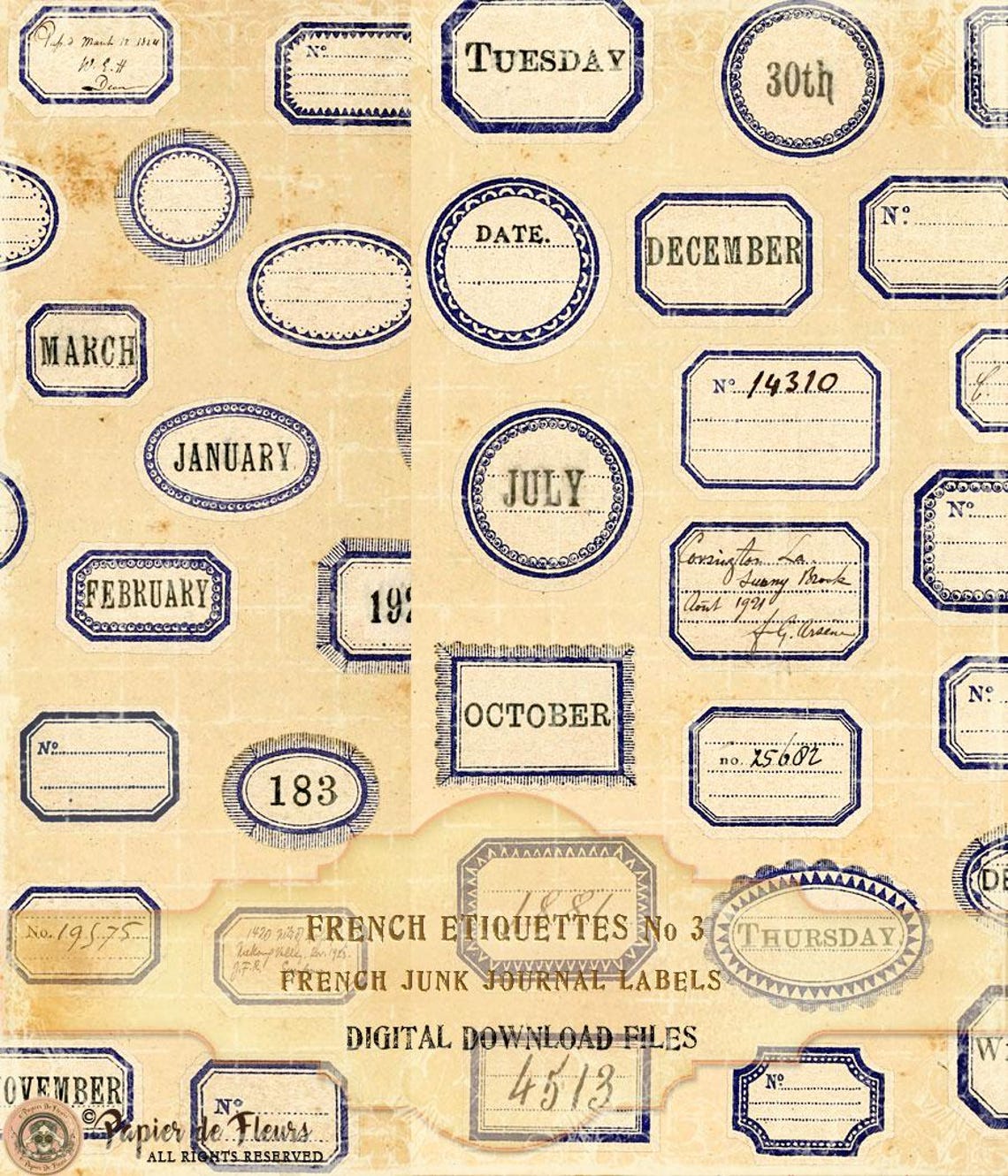 Specimen Etiquettes, Vintage Specimen Labels, Blue Signs No 3, Junk ...