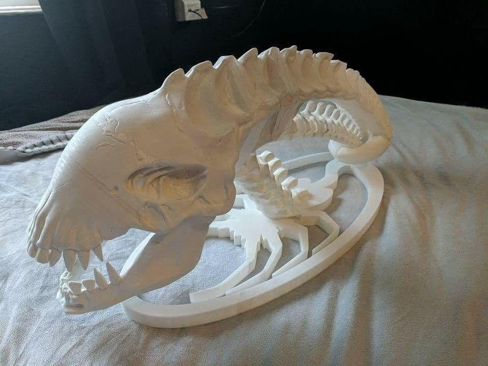 Alien Xenomorph Skull Replica 1-1 / 1-2 / 1-4 Scale / Wallbust - Etsy