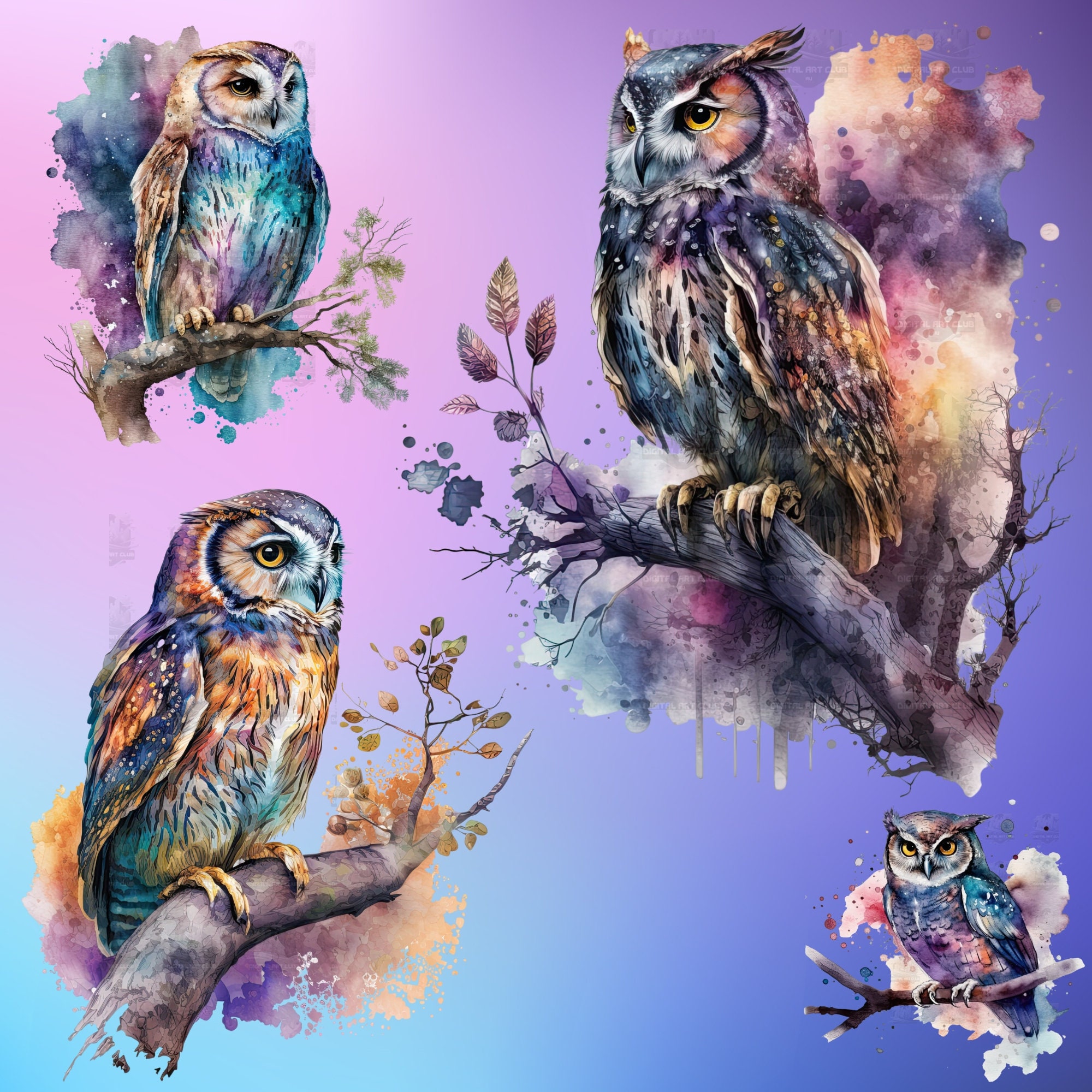 22 Watercolor Owls Clipart Digital PNG Clip Art, Transparent Background ...