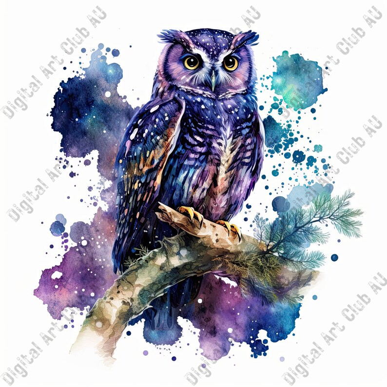 22 Watercolor Owls Clipart Digital PNG Clip Art Fantasy - Etsy