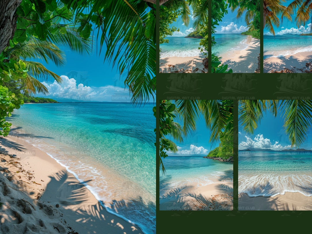 6 Tropical Beach Backdrops Overlays | Overlays for Photoshop | Studio ...