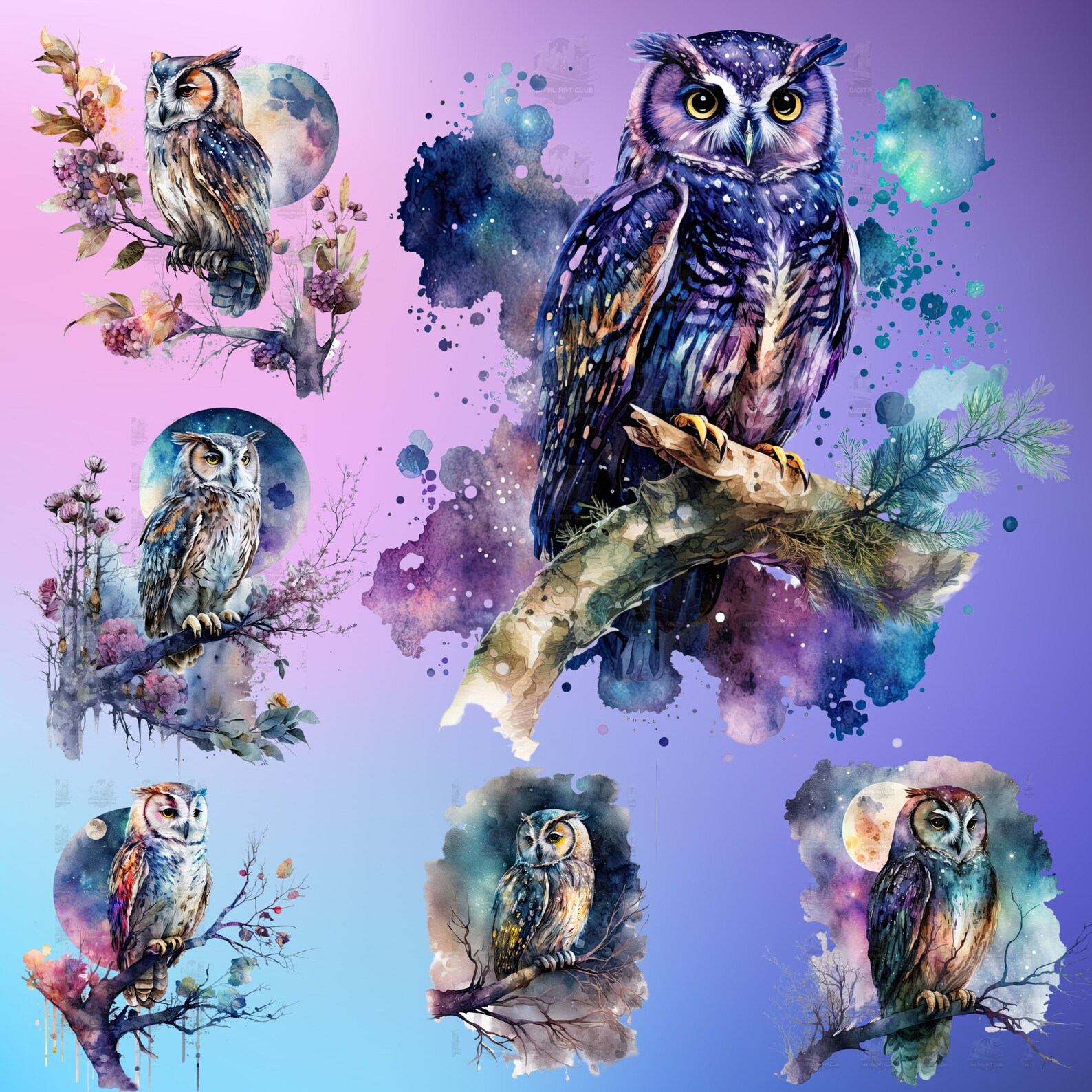 22 Watercolor Owls Clipart | Digital PNG Clip Art, Transparent ...