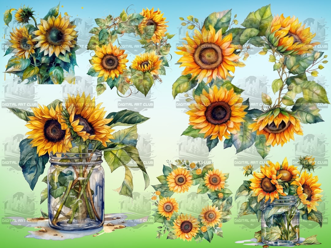 25 Watercolor Sunflowers Clipart | Digital PNG Clip Art, Transparent Background | Floral ...