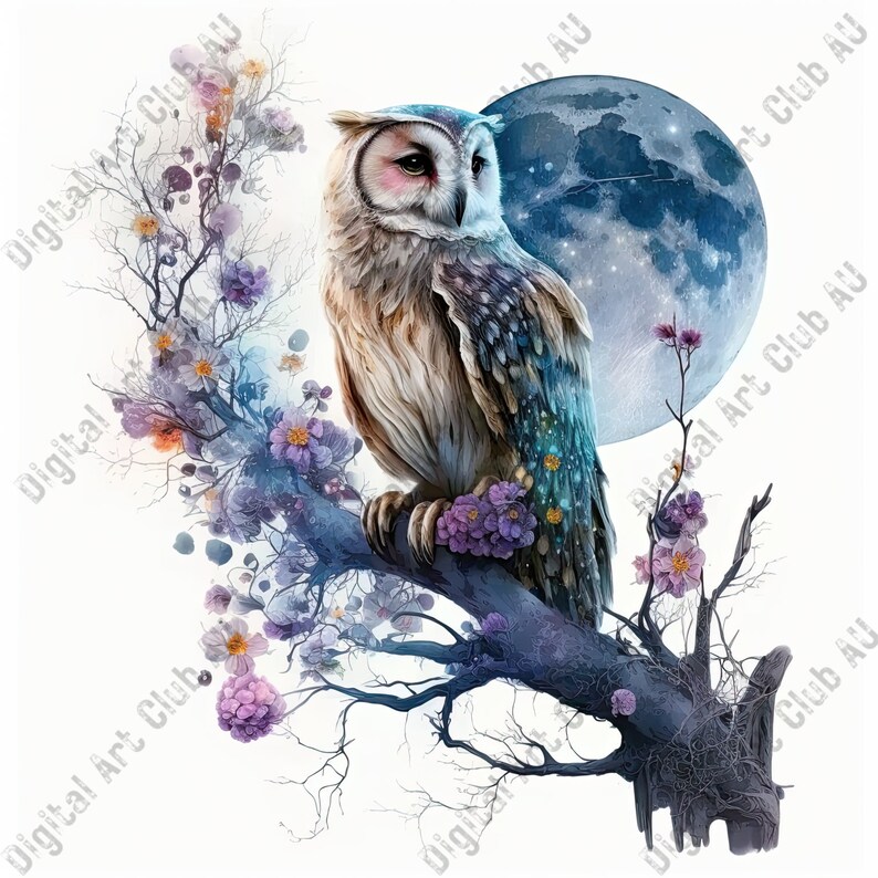 22 Watercolor Owls Clipart Digital PNG Clip Art Fantasy - Etsy