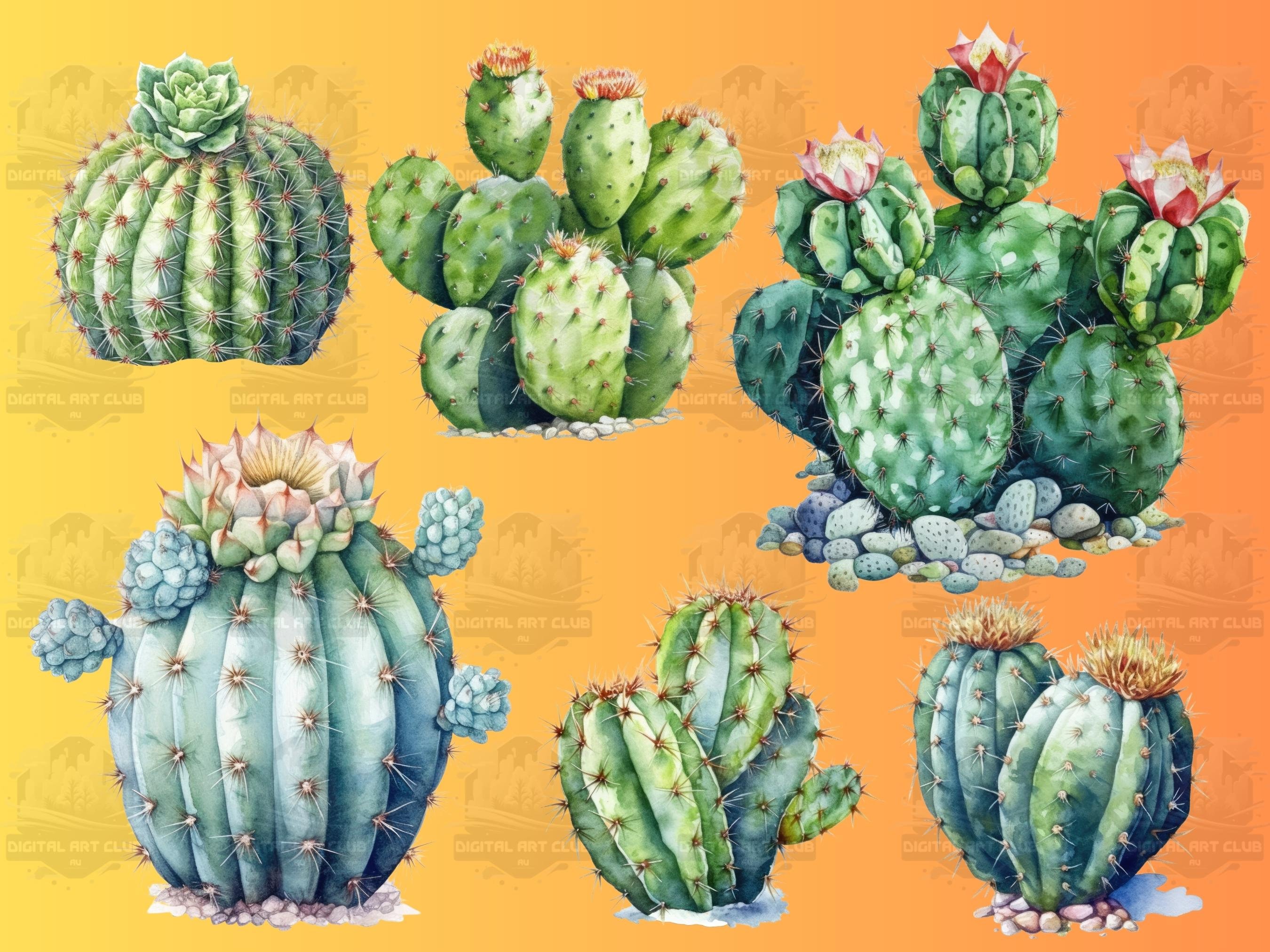 30 Watercolor Cactus Clipart | Floral, Nature, Fantasy | Digital PNG ...
