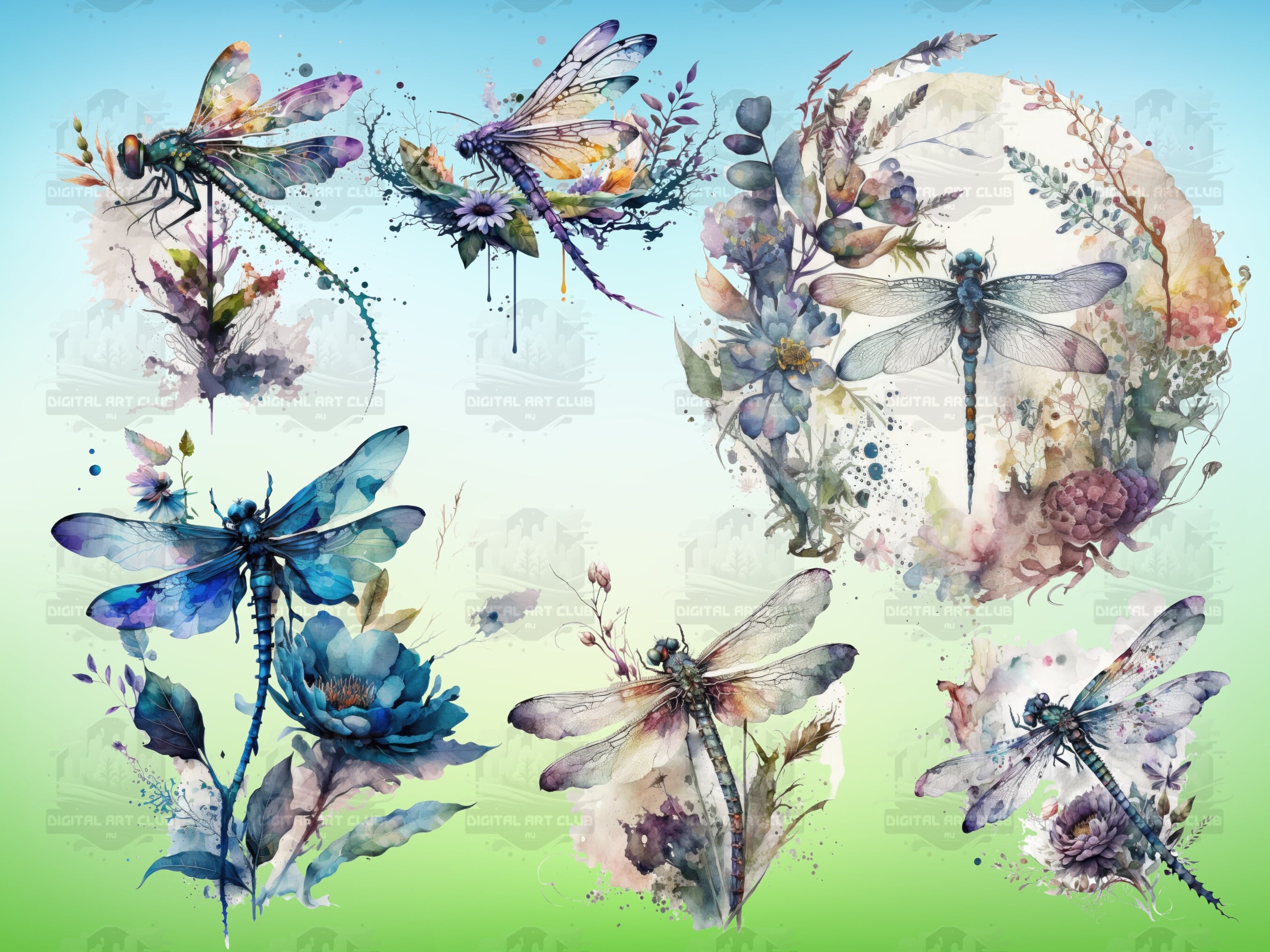 32 Watercolor Dragonfly Clipart Digital PNG Clip Art 300 - Etsy