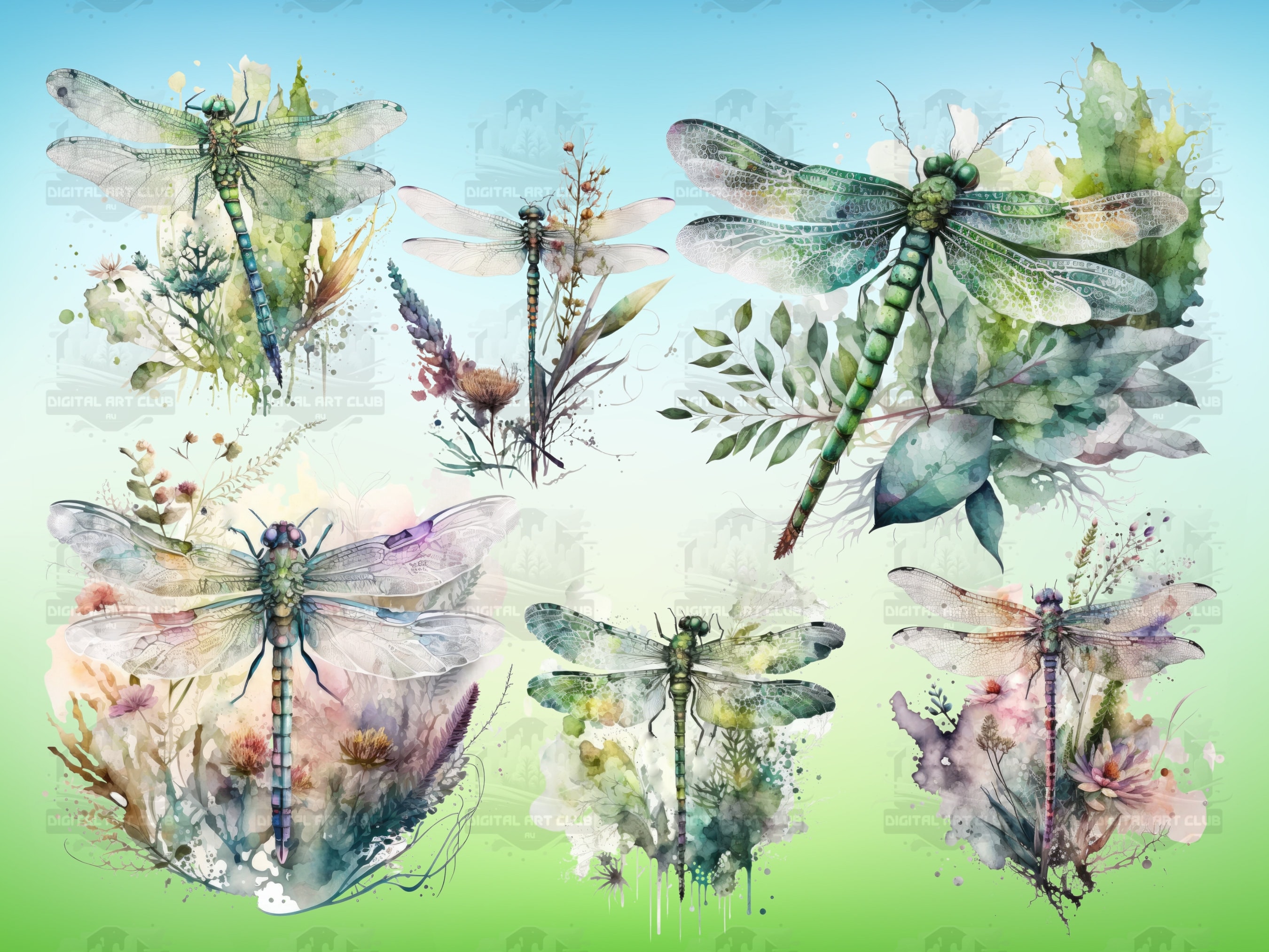 32 Watercolor Dragonfly Clipart Digital PNG Clip Art 300 - Etsy