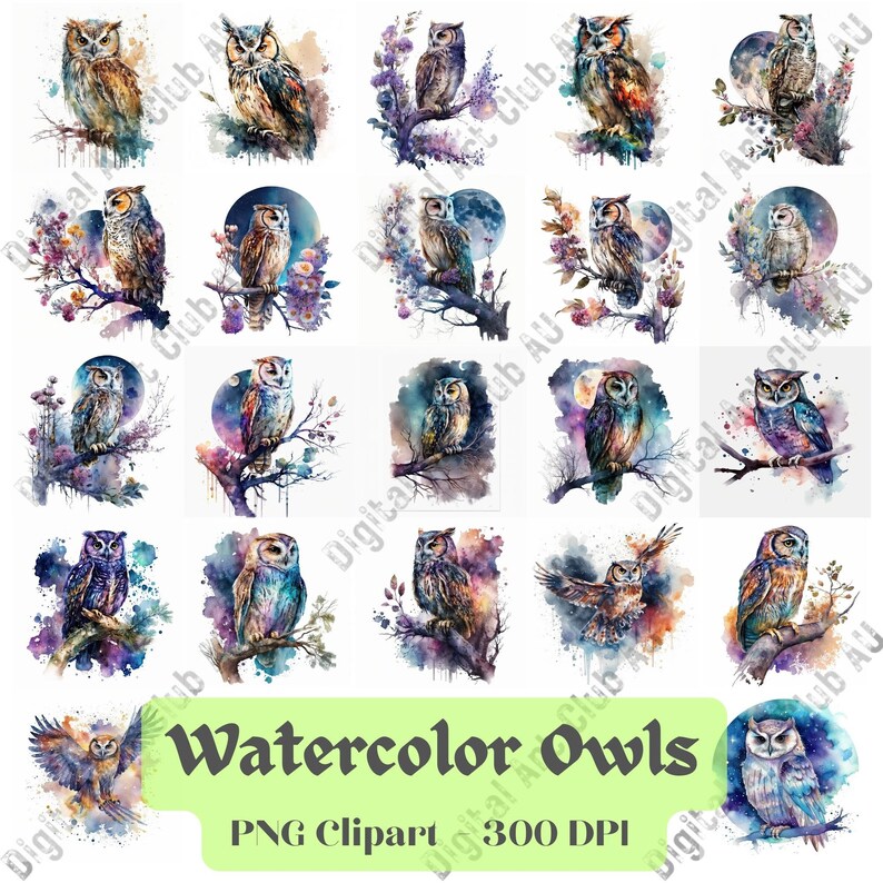22 Watercolor Owls Clipart Digital PNG Clip Art Fantasy - Etsy