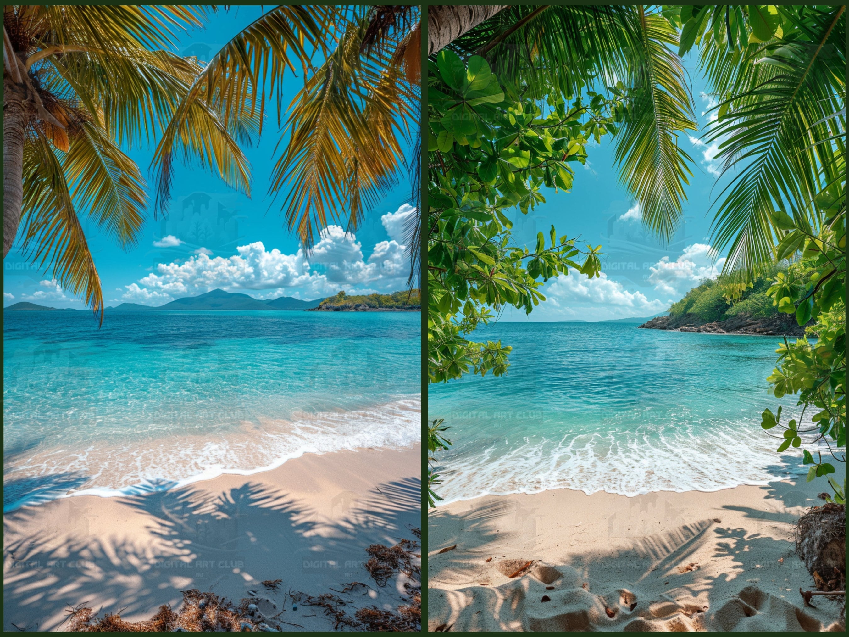 6 Tropical Beach Backdrops Overlays | Overlays for Photoshop | Studio ...