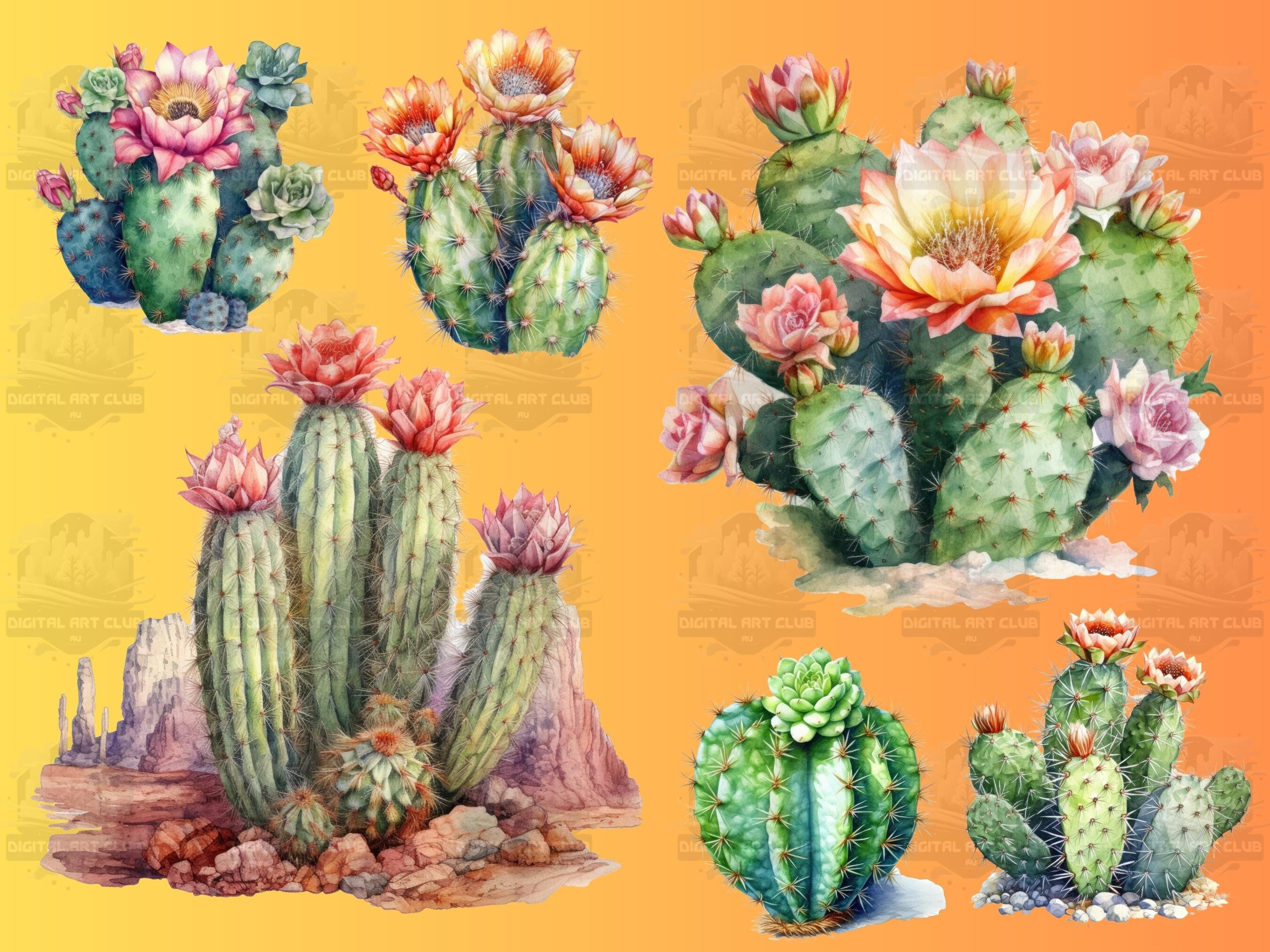 30 Watercolor Cactus Clipart | Floral, Nature, Fantasy | Digital PNG ...