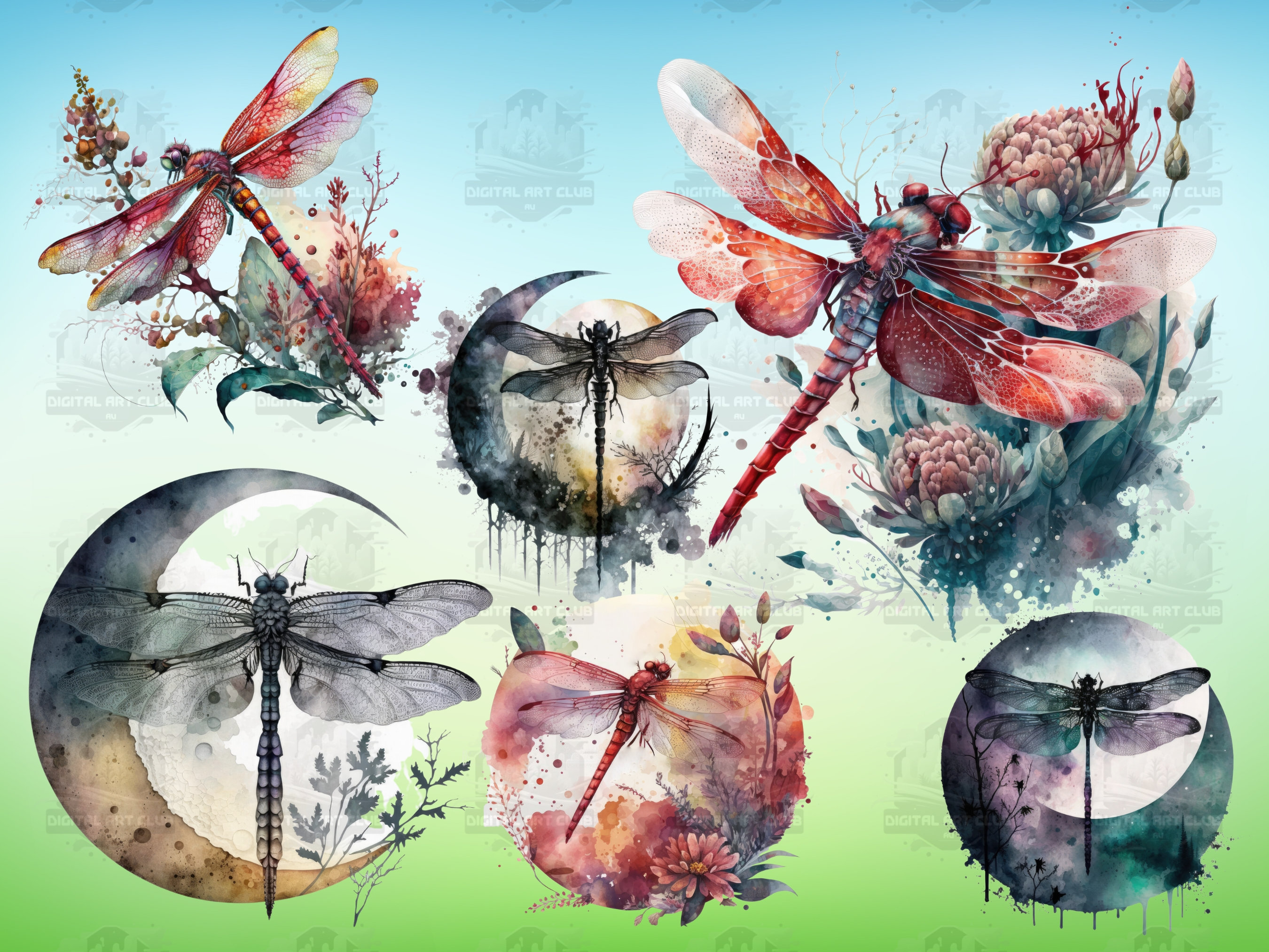 32 Watercolor Dragonfly Clipart Digital PNG Clip Art 300 - Etsy