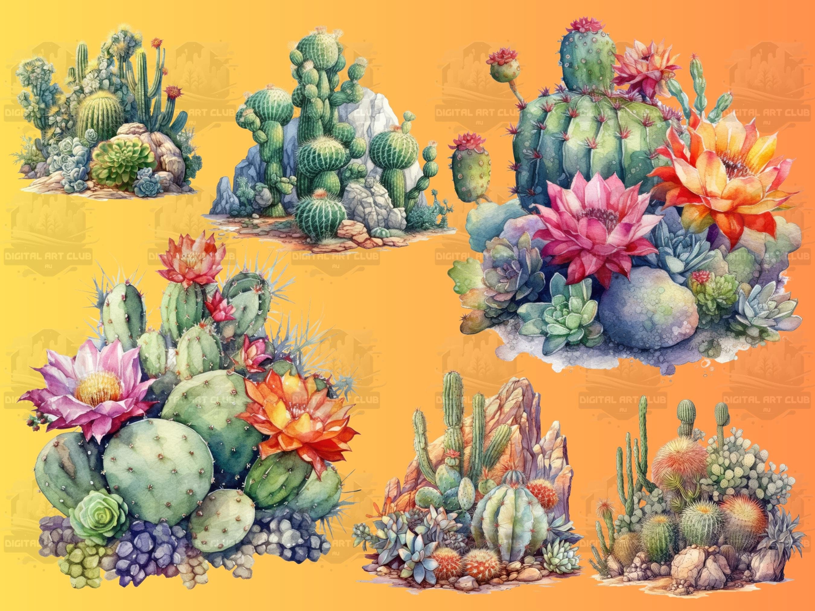 30 Watercolor Cactus Clipart | Floral, Nature, Fantasy | Digital PNG ...