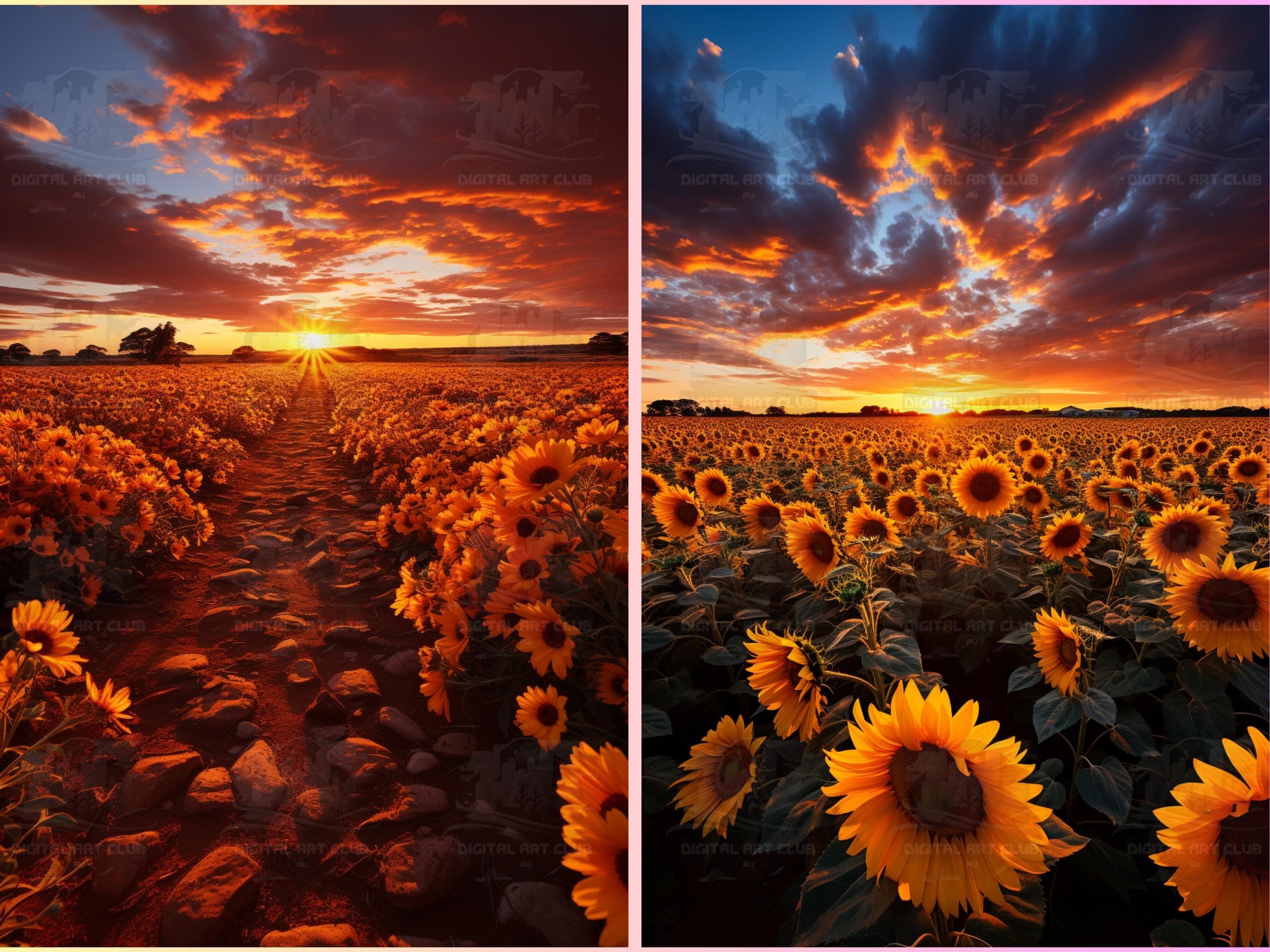 15 Fantasy Landscape Backdrops Overlays Overlays for - Etsy