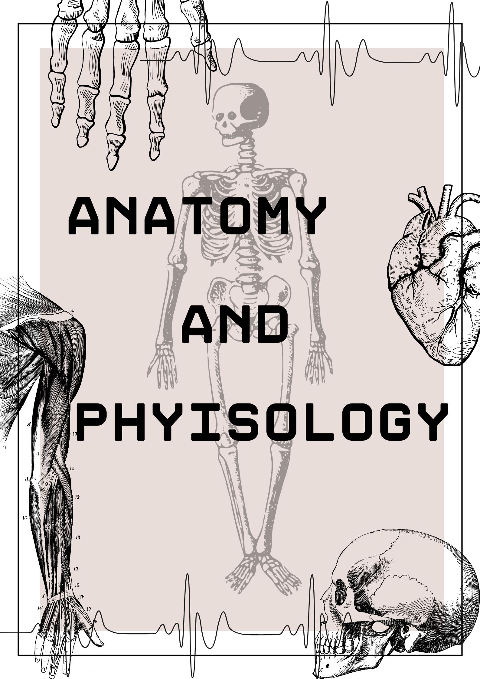 Anatomy and Physiology Digital Notebook Cover - Etsy