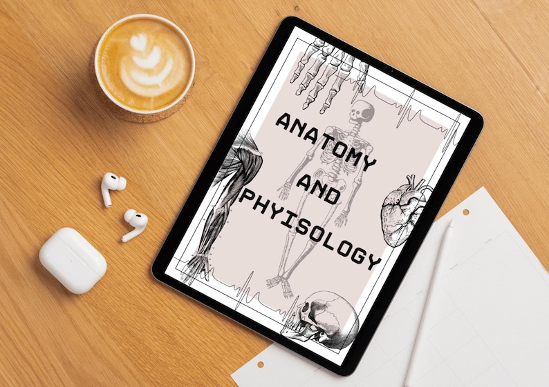 Anatomy and Physiology Digital Notebook Cover - Etsy