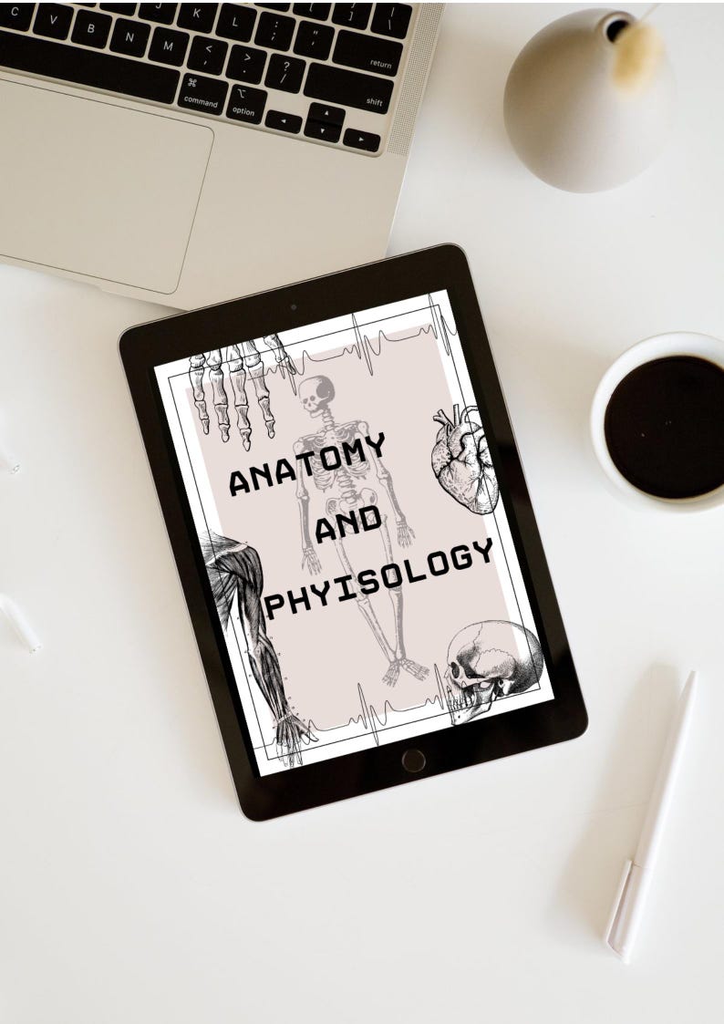 Anatomy and Physiology Digital Notebook Cover - Etsy