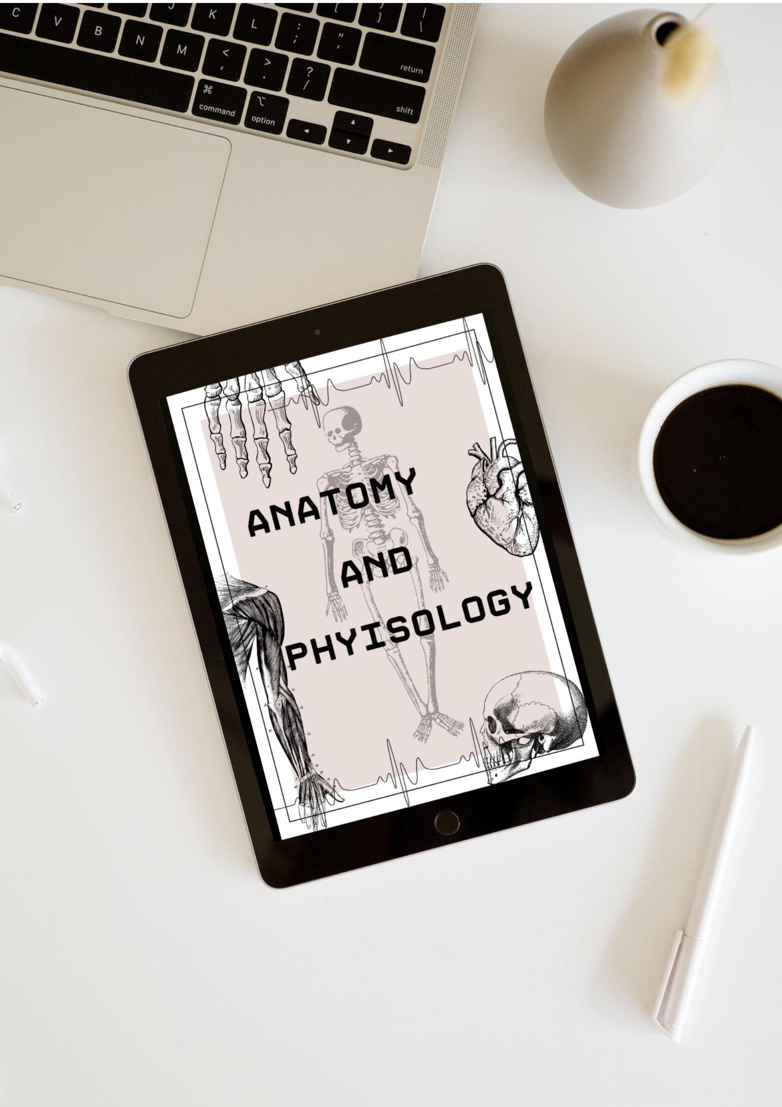 Anatomy and Physiology Digital Notebook Cover - Etsy
